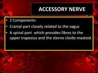 Cns examination and its interpretation | PPTX