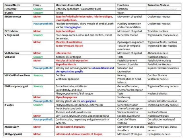 Cns examination and its interpretation