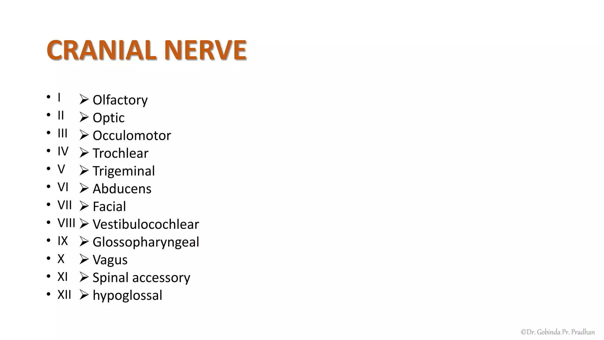 CNS examination in children | PPTX