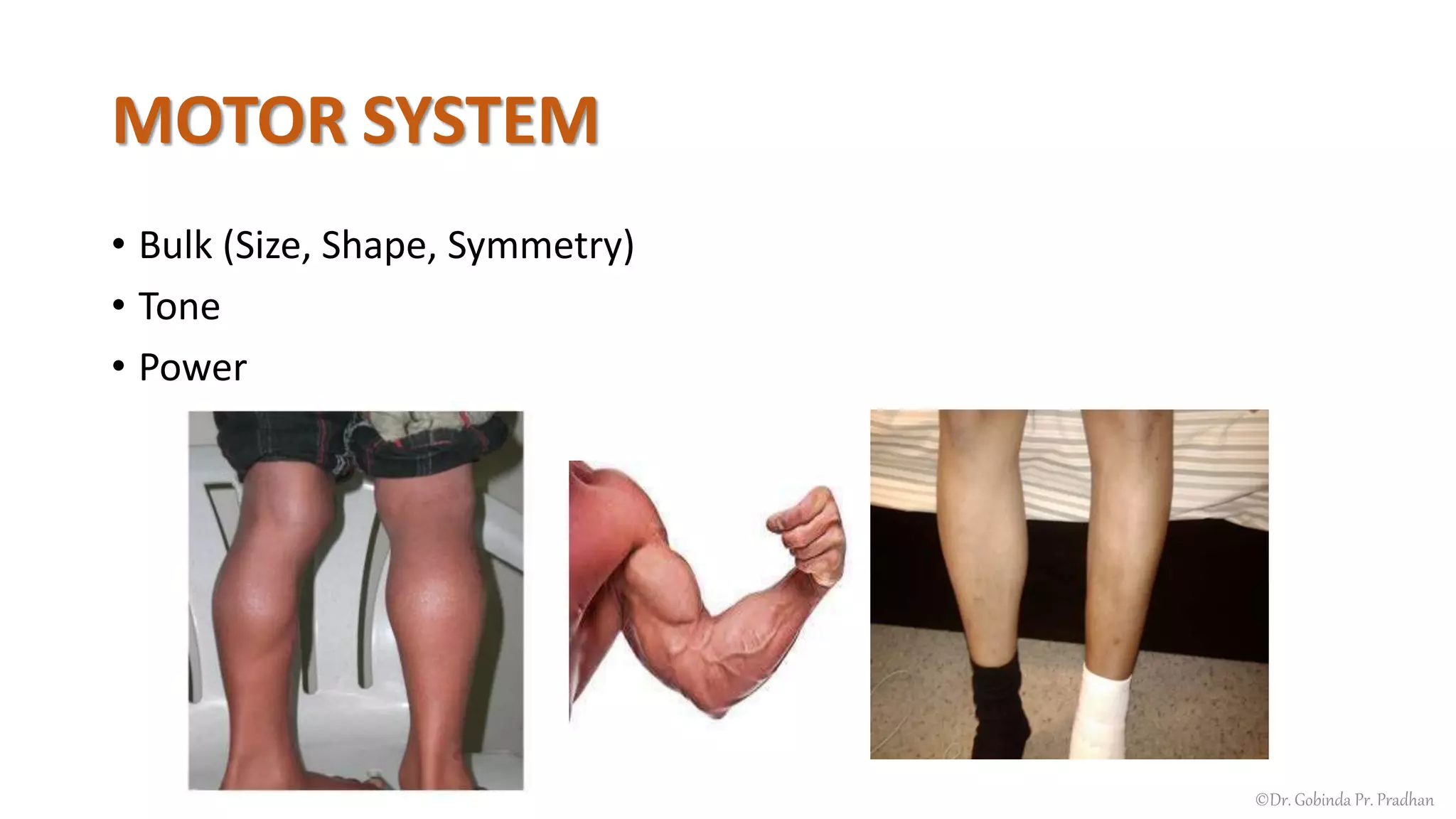 CNS examination in children | PPTX