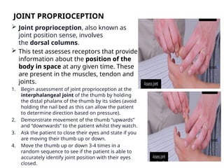 CNS EXAMINATION OF THE UPPER AND LOWER LIMBS.pptx