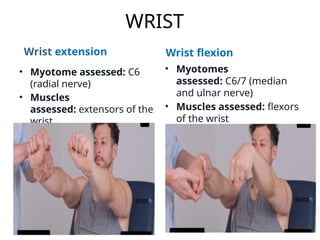 CNS EXAMINATION OF THE UPPER AND LOWER LIMBS.pptx