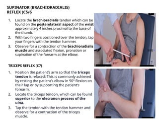 CNS EXAMINATION OF THE UPPER AND LOWER LIMBS.pptx
