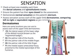 CNS EXAMINATION OF THE UPPER AND LOWER LIMBS.pptx