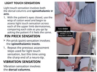 CNS EXAMINATION OF THE UPPER AND LOWER LIMBS.pptx
