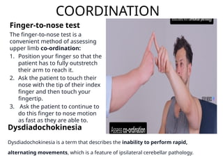 CNS EXAMINATION OF THE UPPER AND LOWER LIMBS.pptx