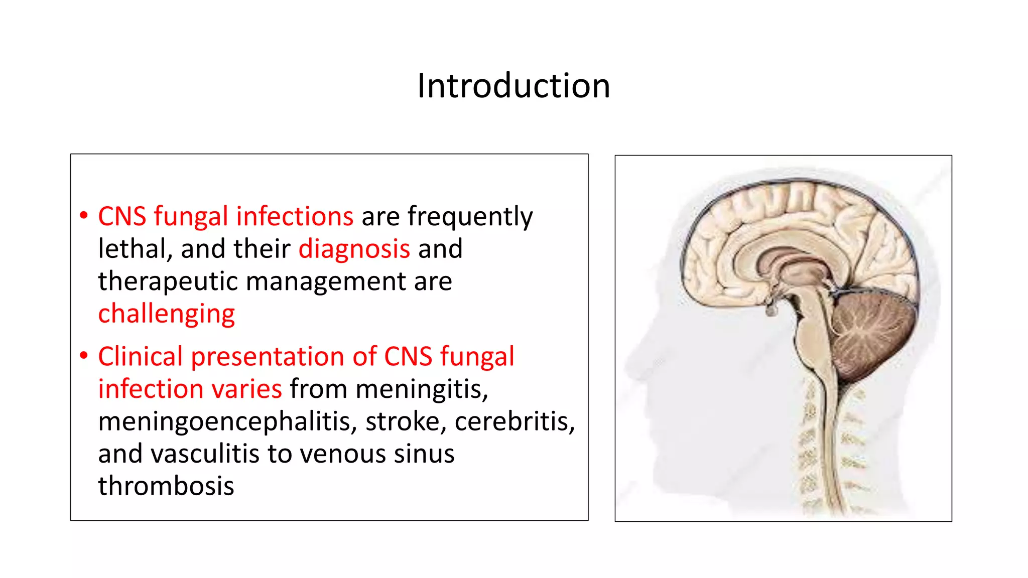 Central Nervous System Fungal Infection | PPTX