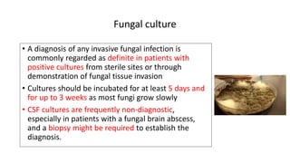Central Nervous System Fungal Infection | PPTX