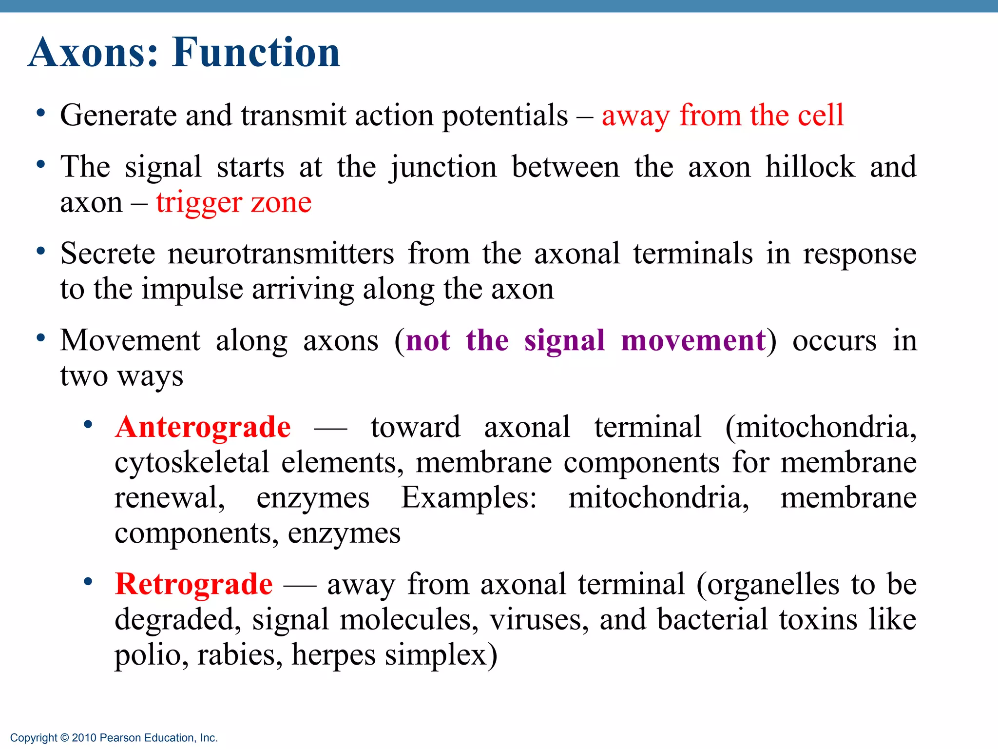 Cns histology and anatomy | PPT