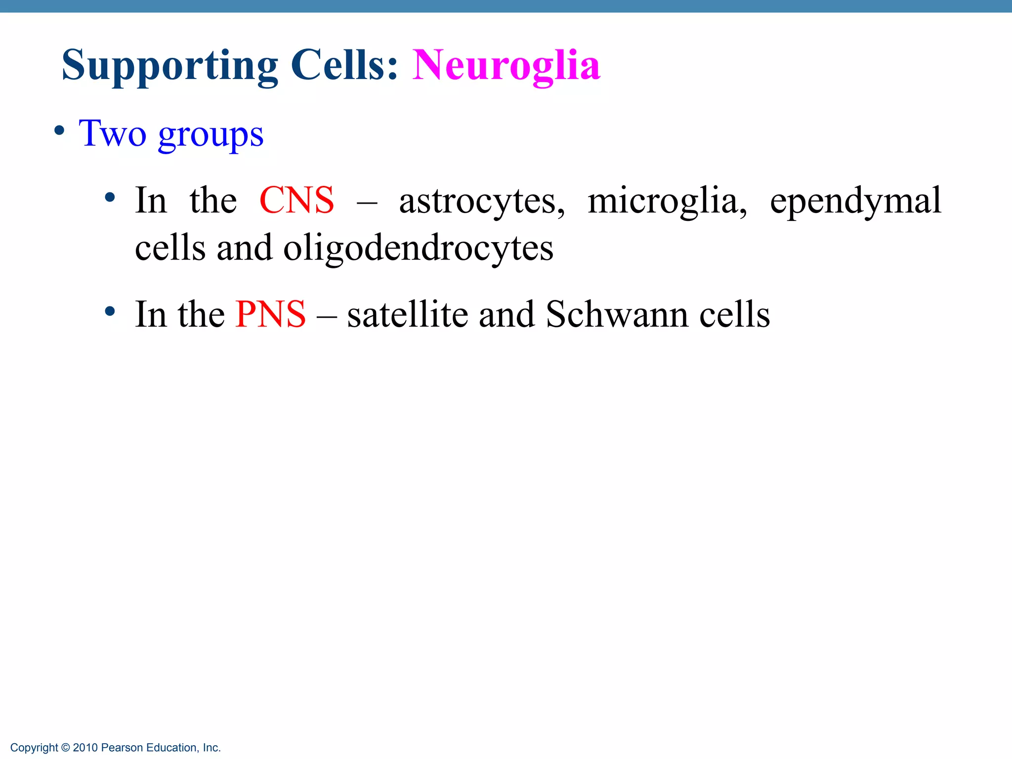 Cns histology and anatomy | PPT