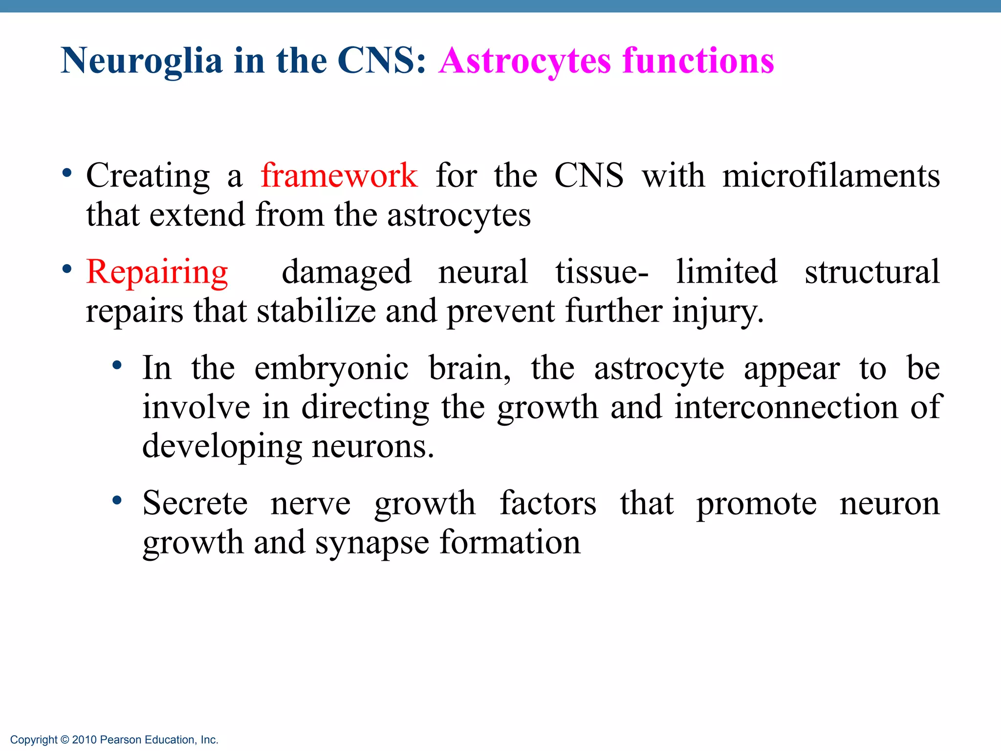 Cns histology and anatomy | PPT