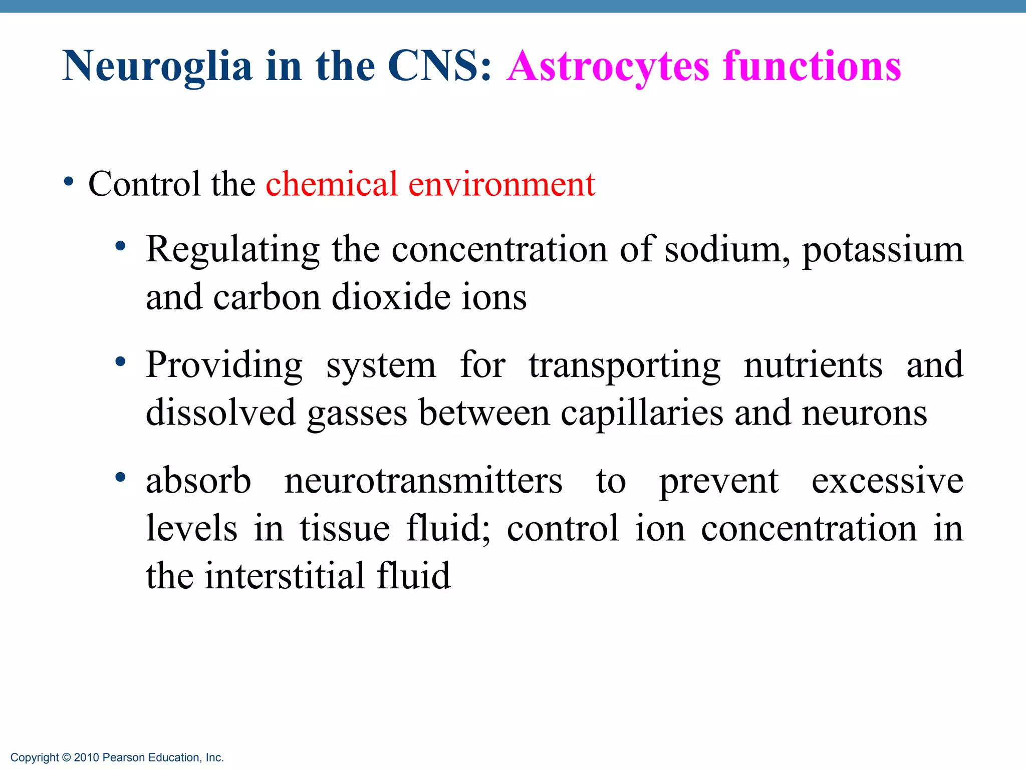 Cns histology and anatomy | PPT