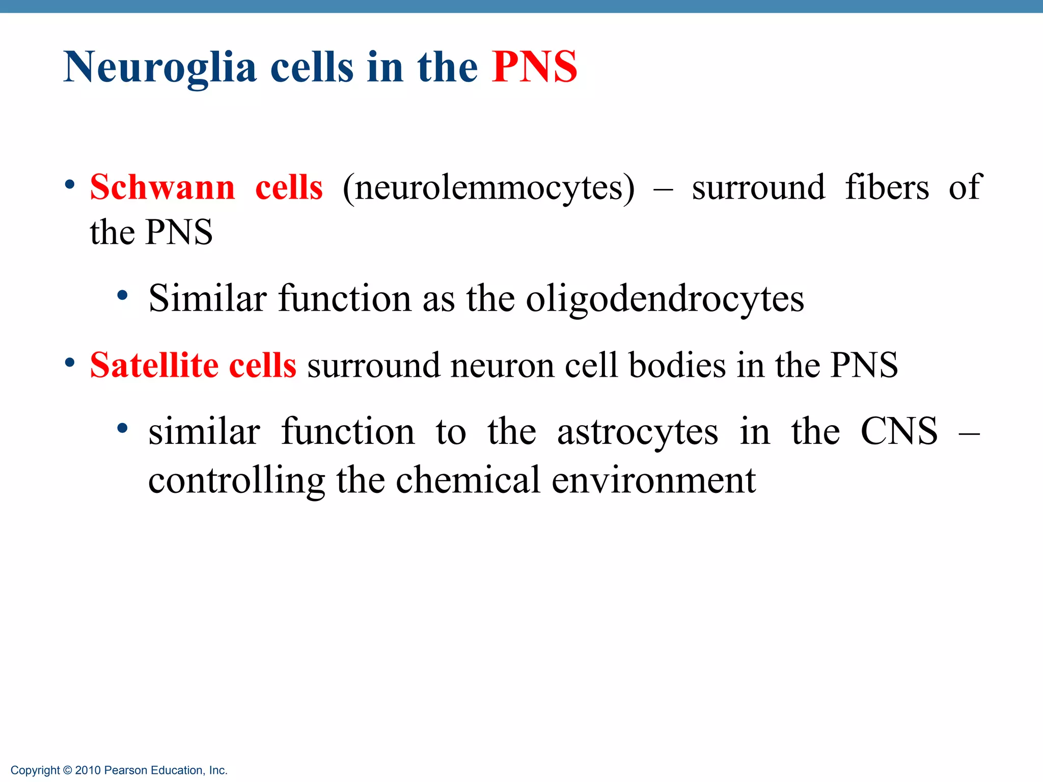 Cns histology and anatomy | PPT