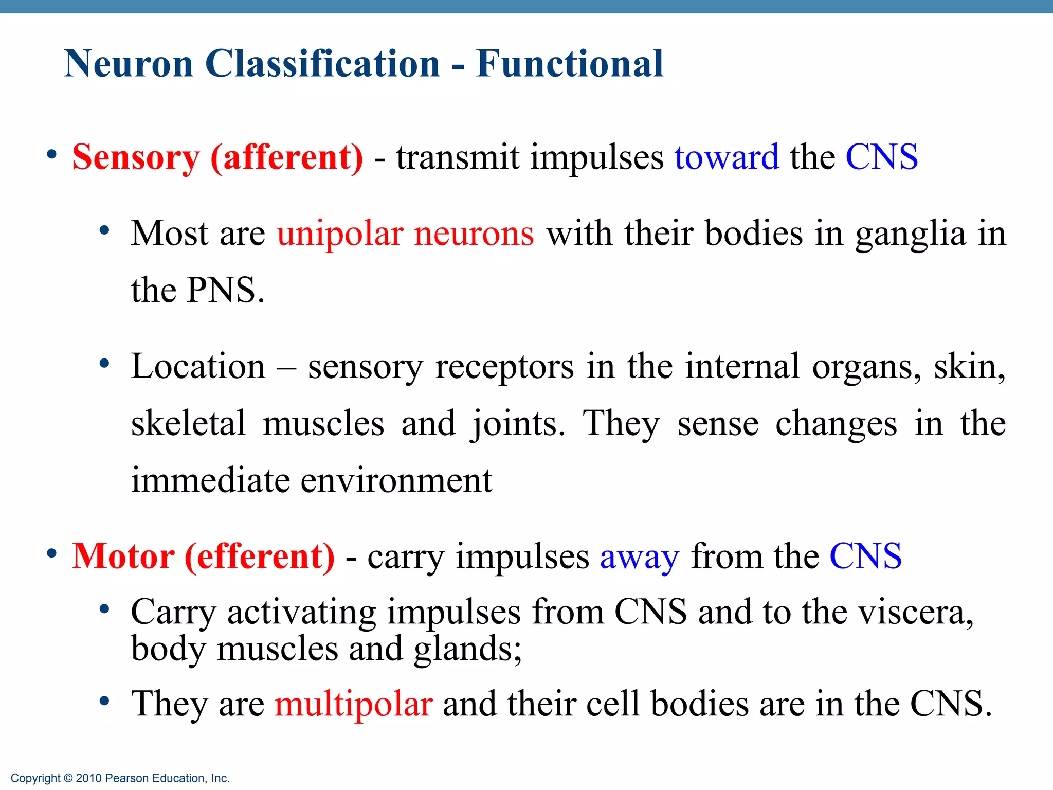 Cns histology and anatomy | PPT