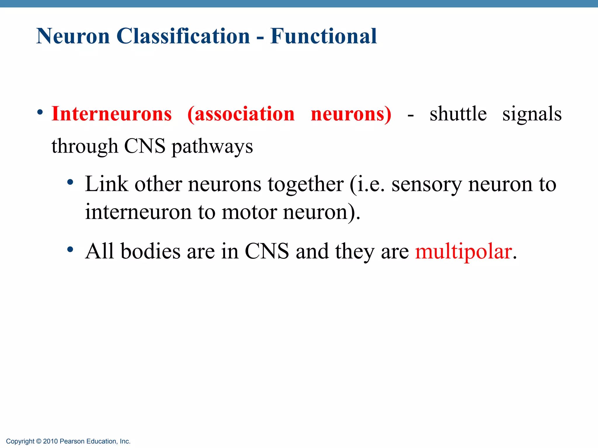 Cns histology and anatomy | PPT