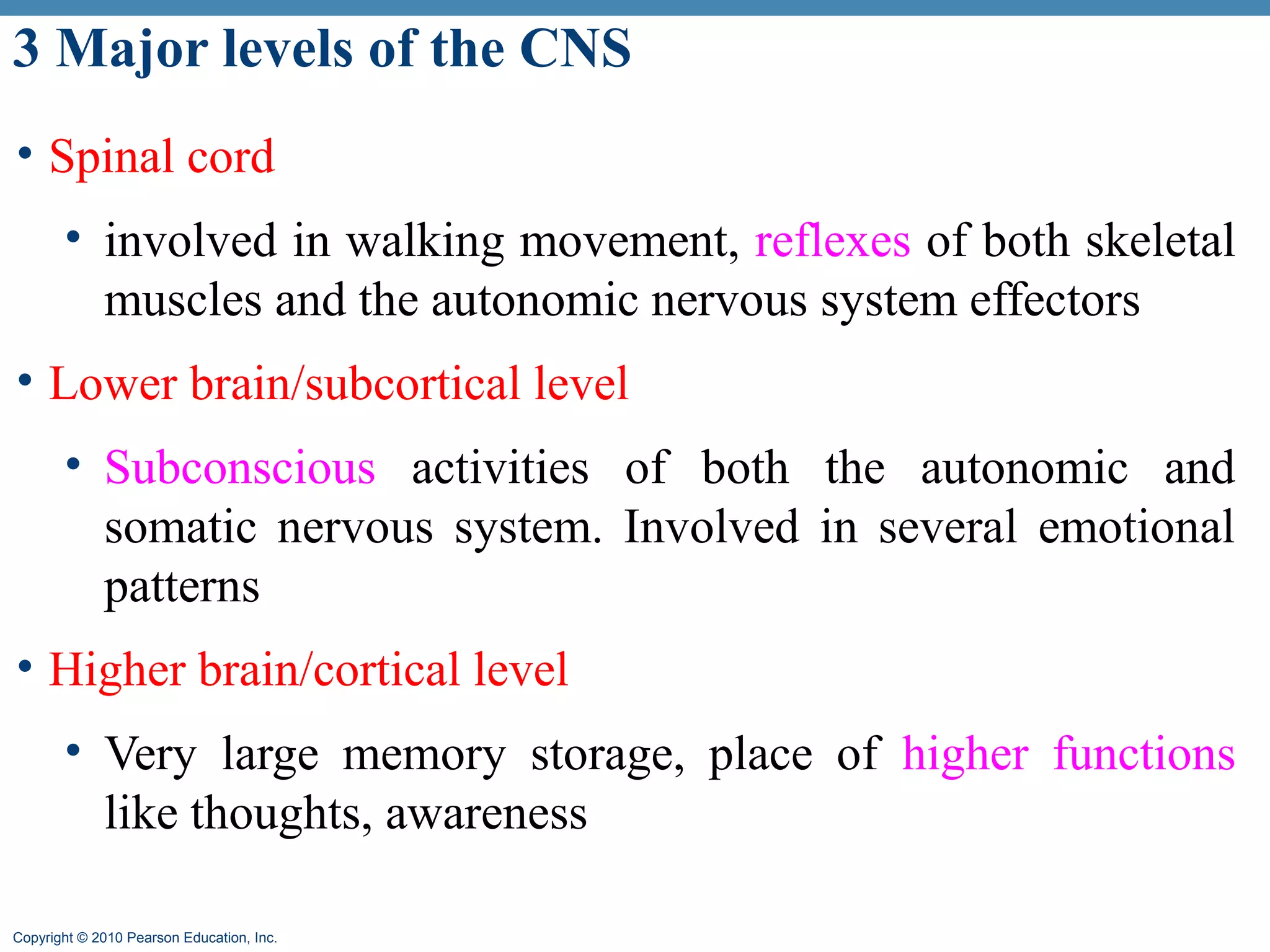 Cns histology and anatomy | PPT