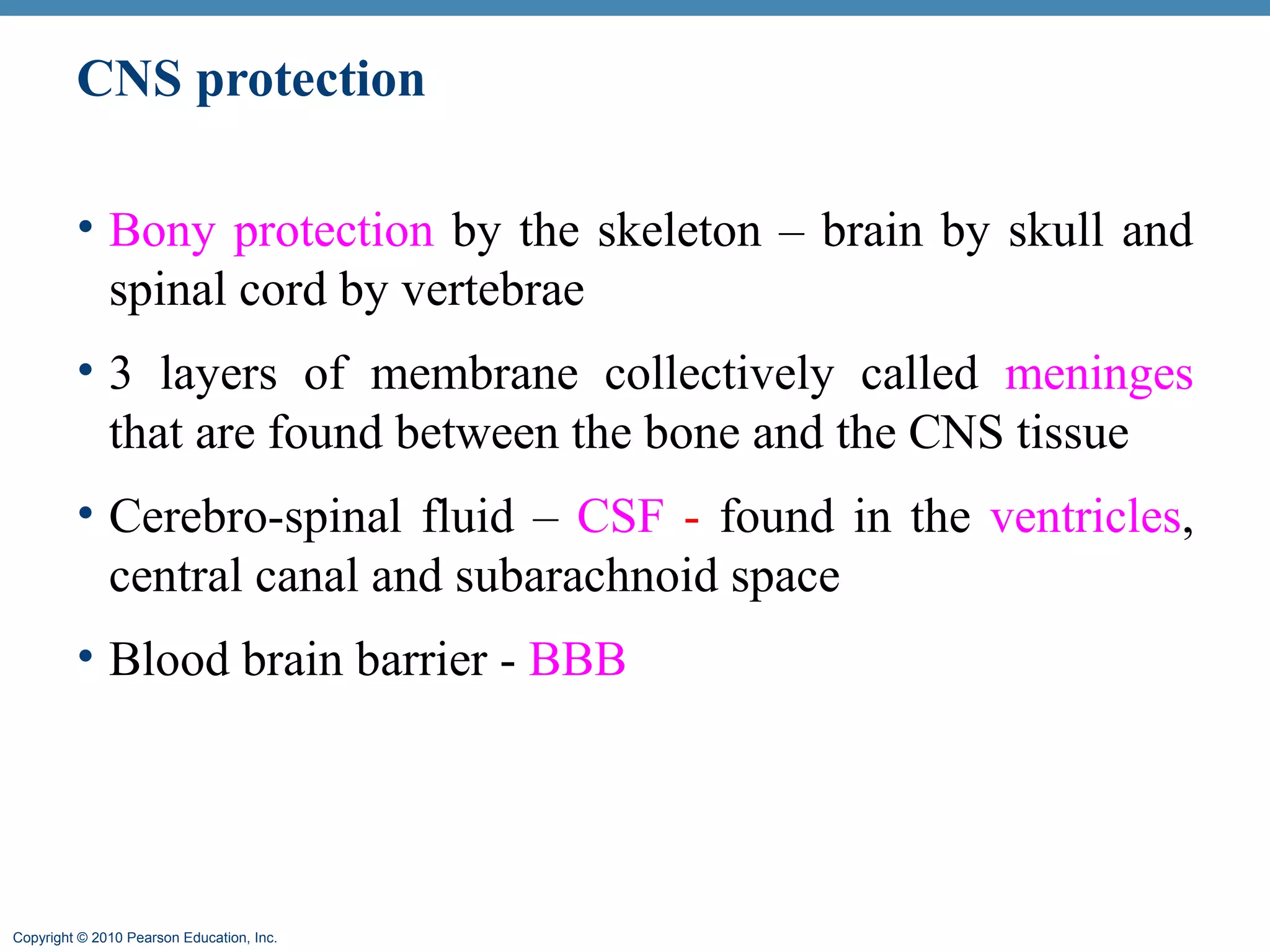 Cns histology and anatomy | PPT