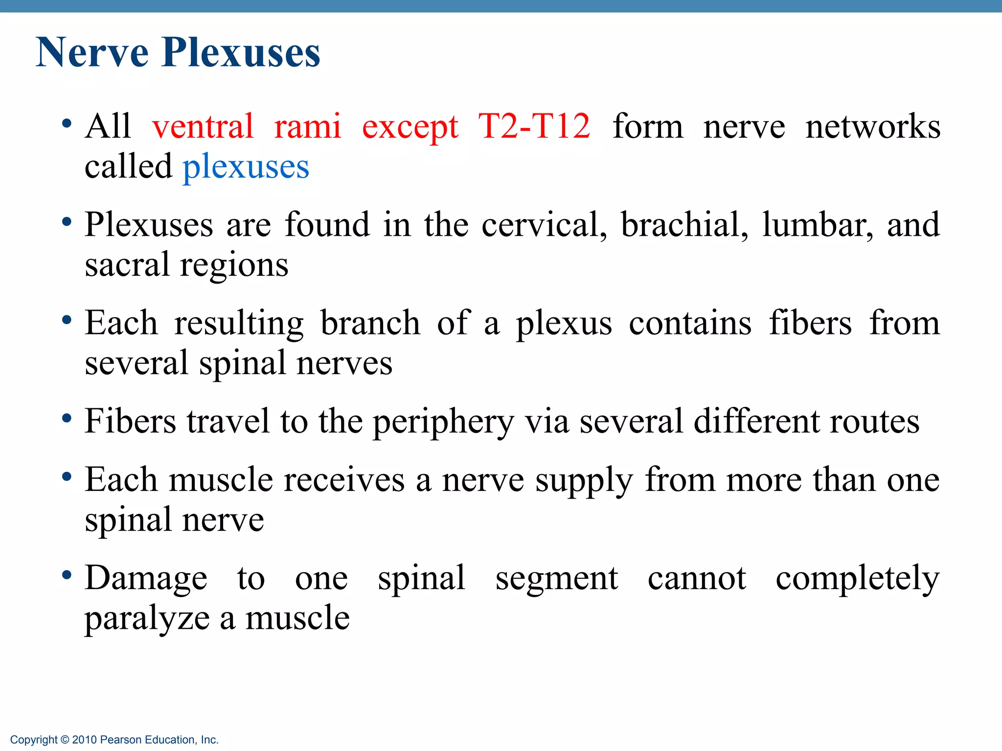 Cns histology and anatomy | PPT