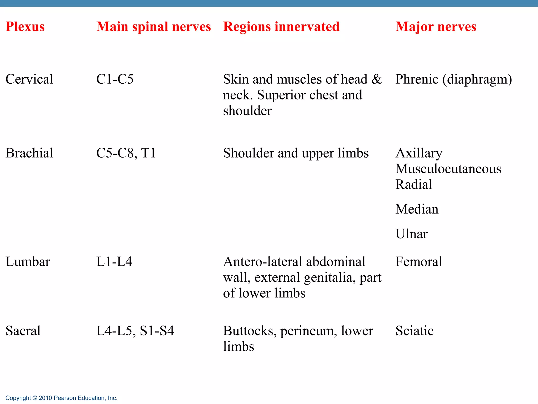 Cns histology and anatomy | PPT