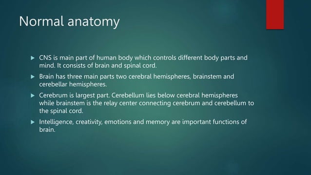 CNS IMAGING.pptx hbcvgvscbsvfxdsgvhjdvbjhfv | PPT