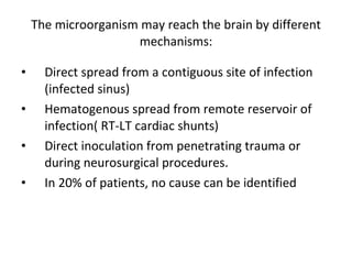 neurosurgery.Cns infection.(dr.ali o. sadoon) | PPT