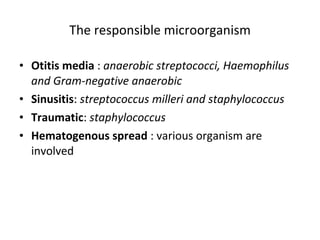 neurosurgery.Cns infection.(dr.ali o. sadoon) | PPT