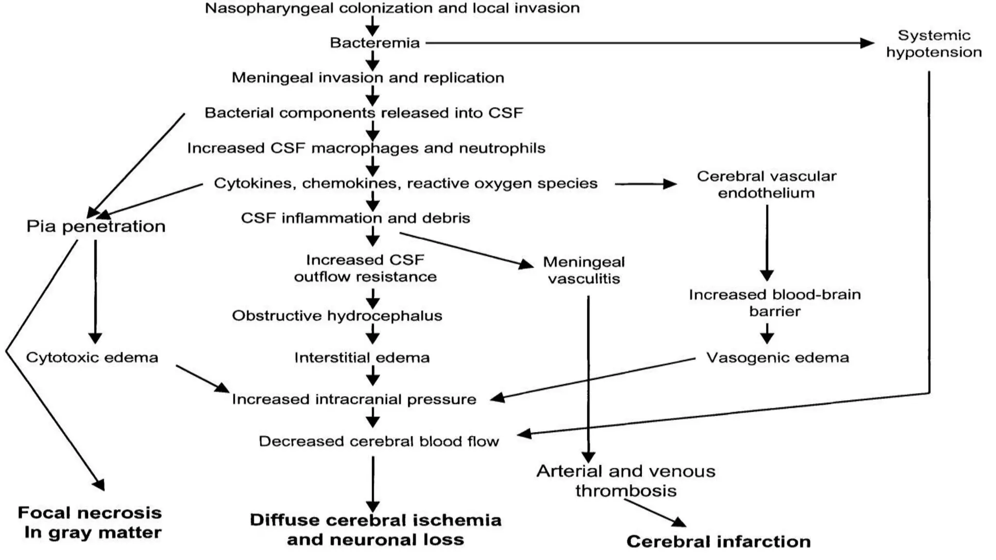 CNS INFECTION | PPTX