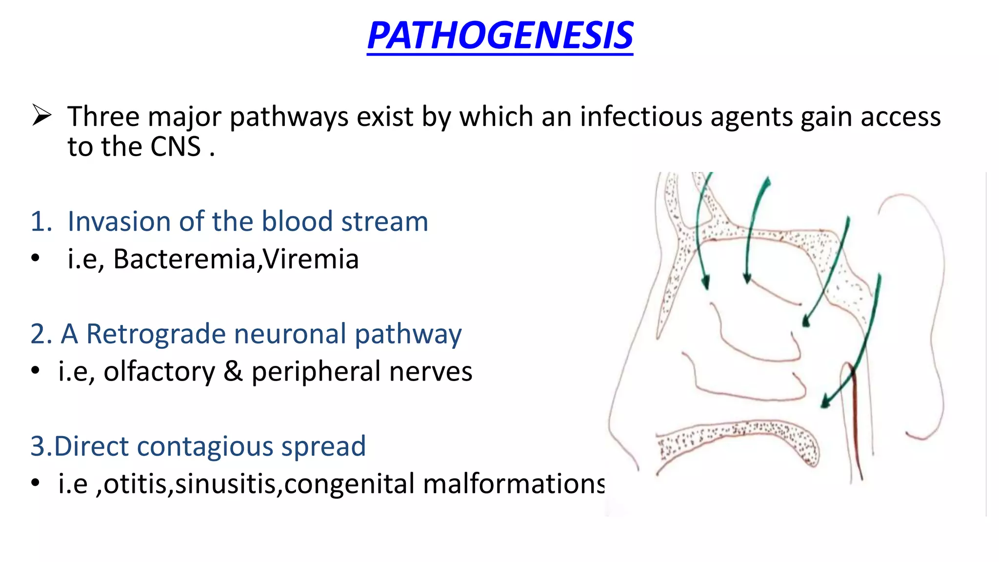 CNS INFECTION | PPTX