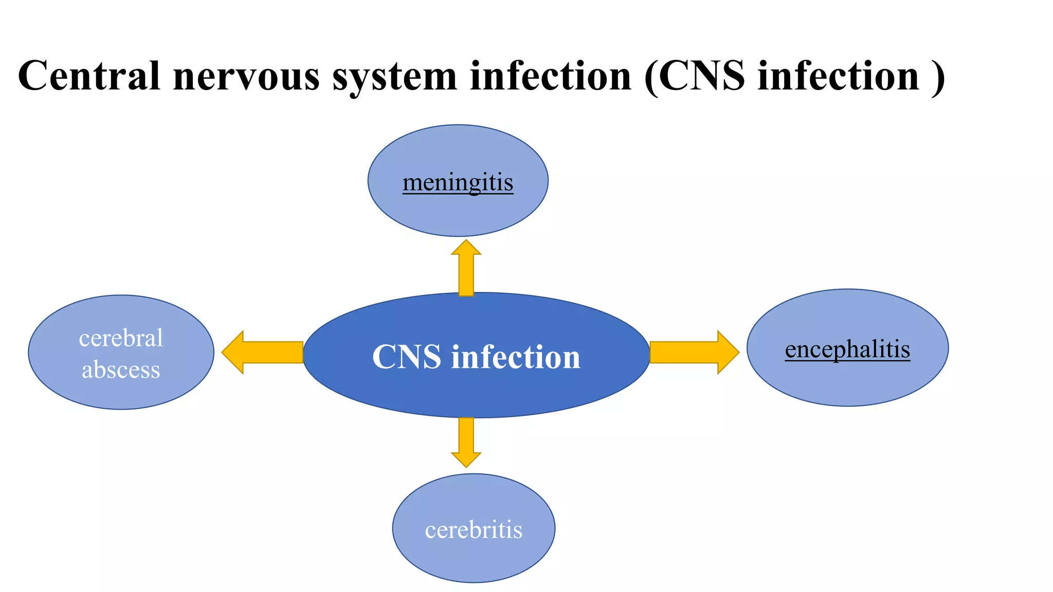 Cns infection | PDF