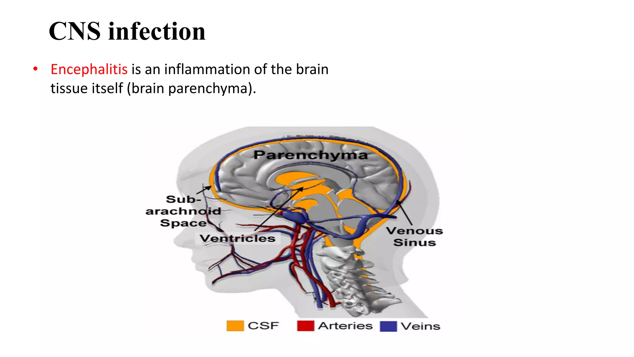 Cns infection | PDF