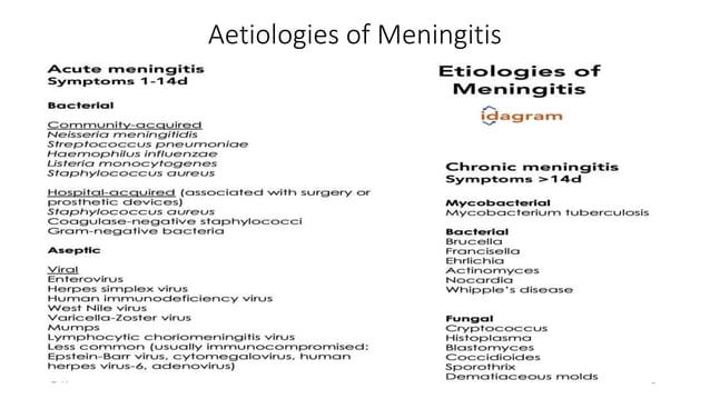 CNS INFECTION - Copy.pptx