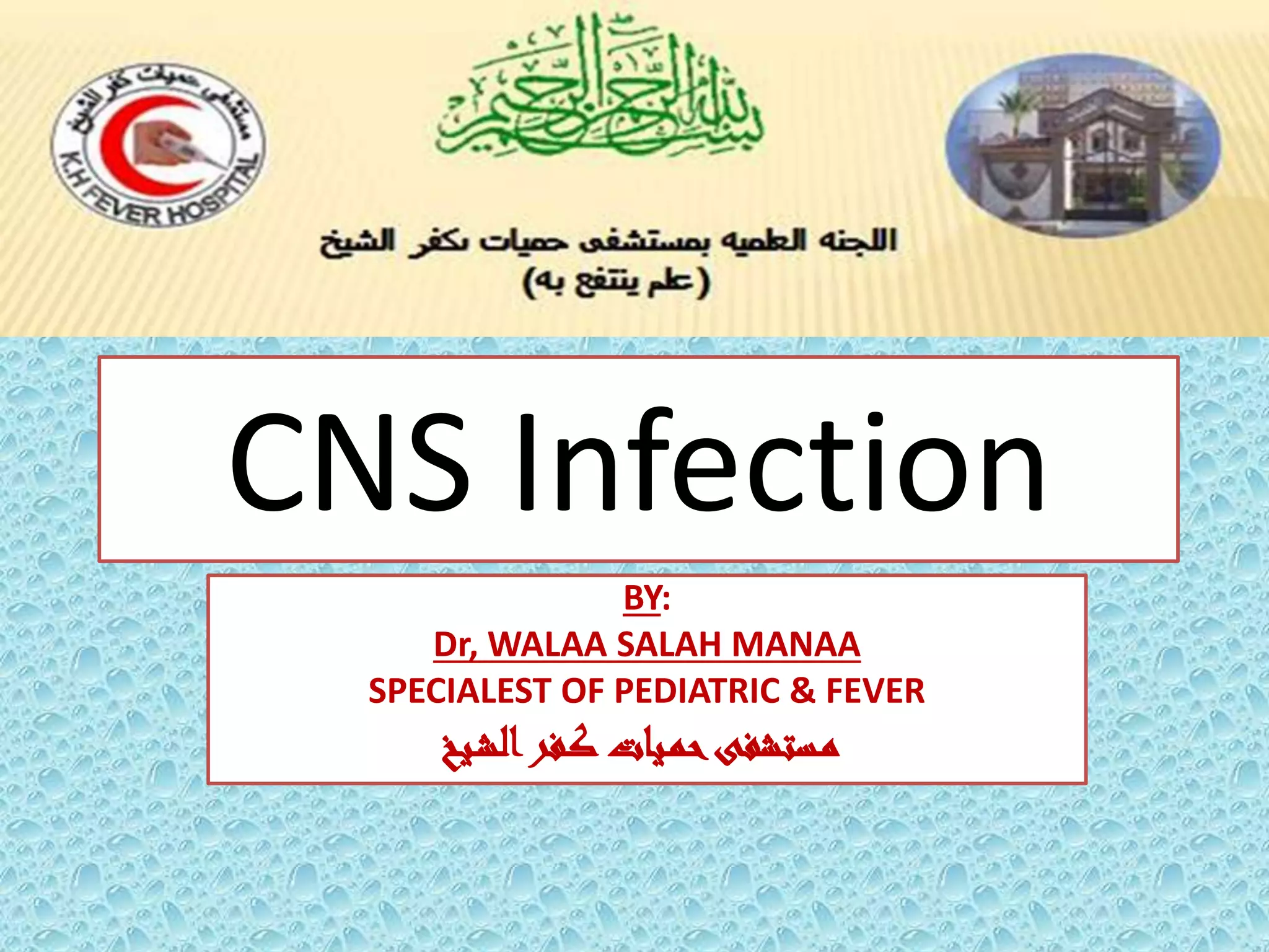 Cns infection 2019 | PPT