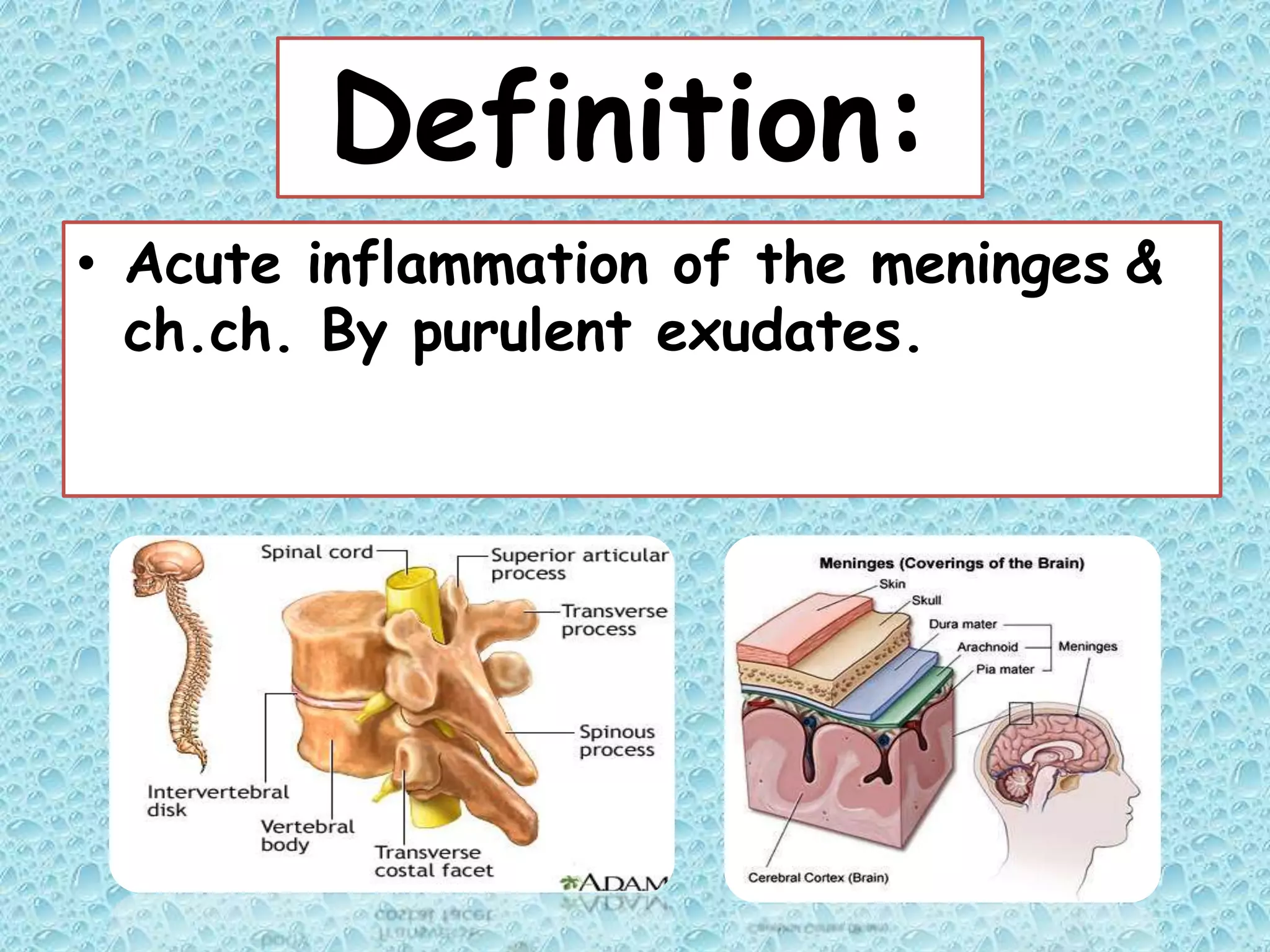 Cns infection 2019 | PPTX