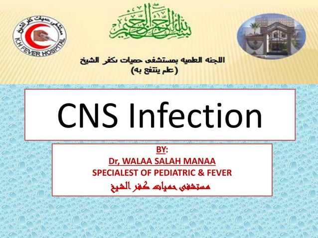 Cns infection 2019 | PPT