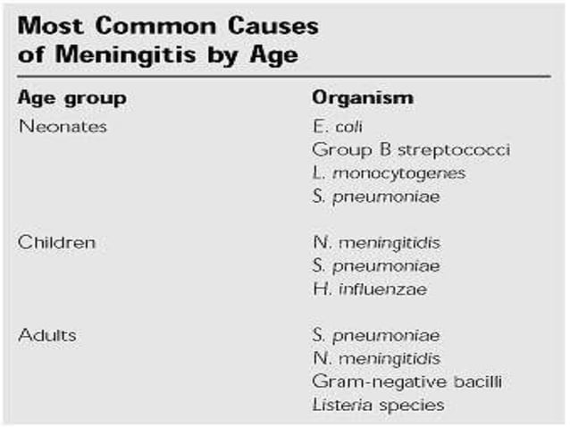 Cns infection 2019 | PPT