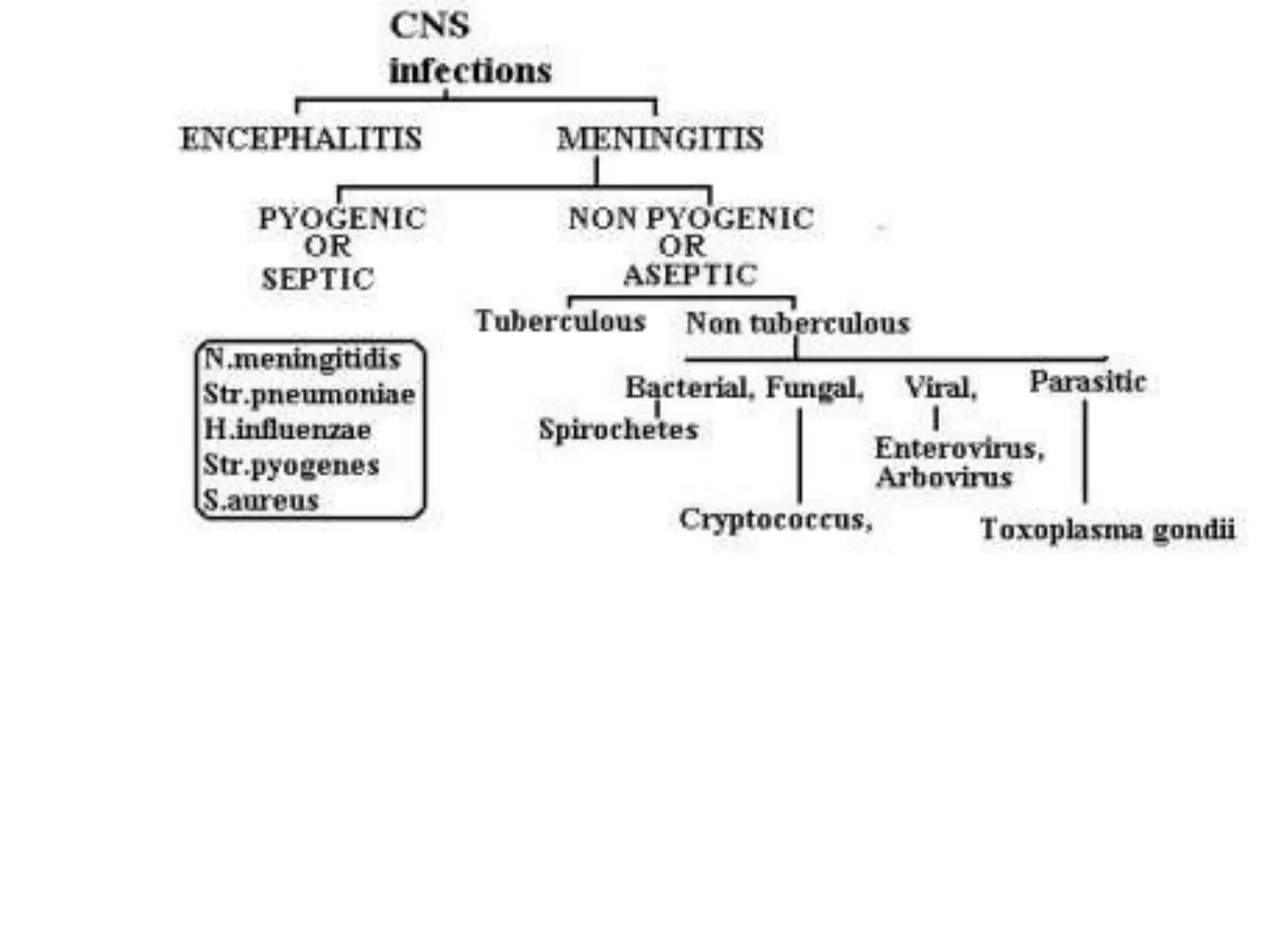 CNS Infections | PPTX