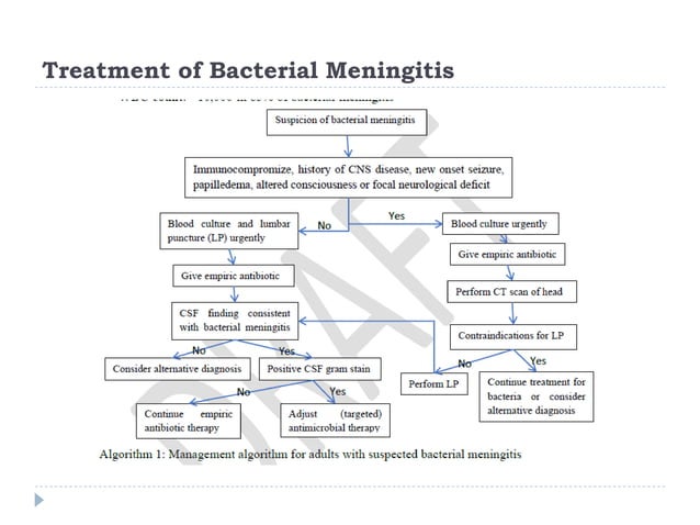 Cns infections | PPTX | Brain and Nervous System Disorders | Diseases ...
