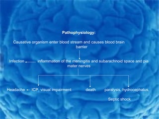 Cns Infxs | PPS
