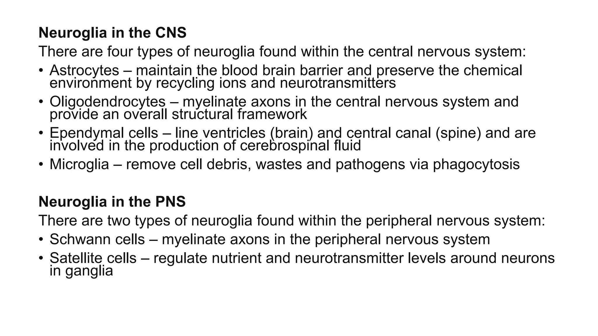 CNS intro.pptx