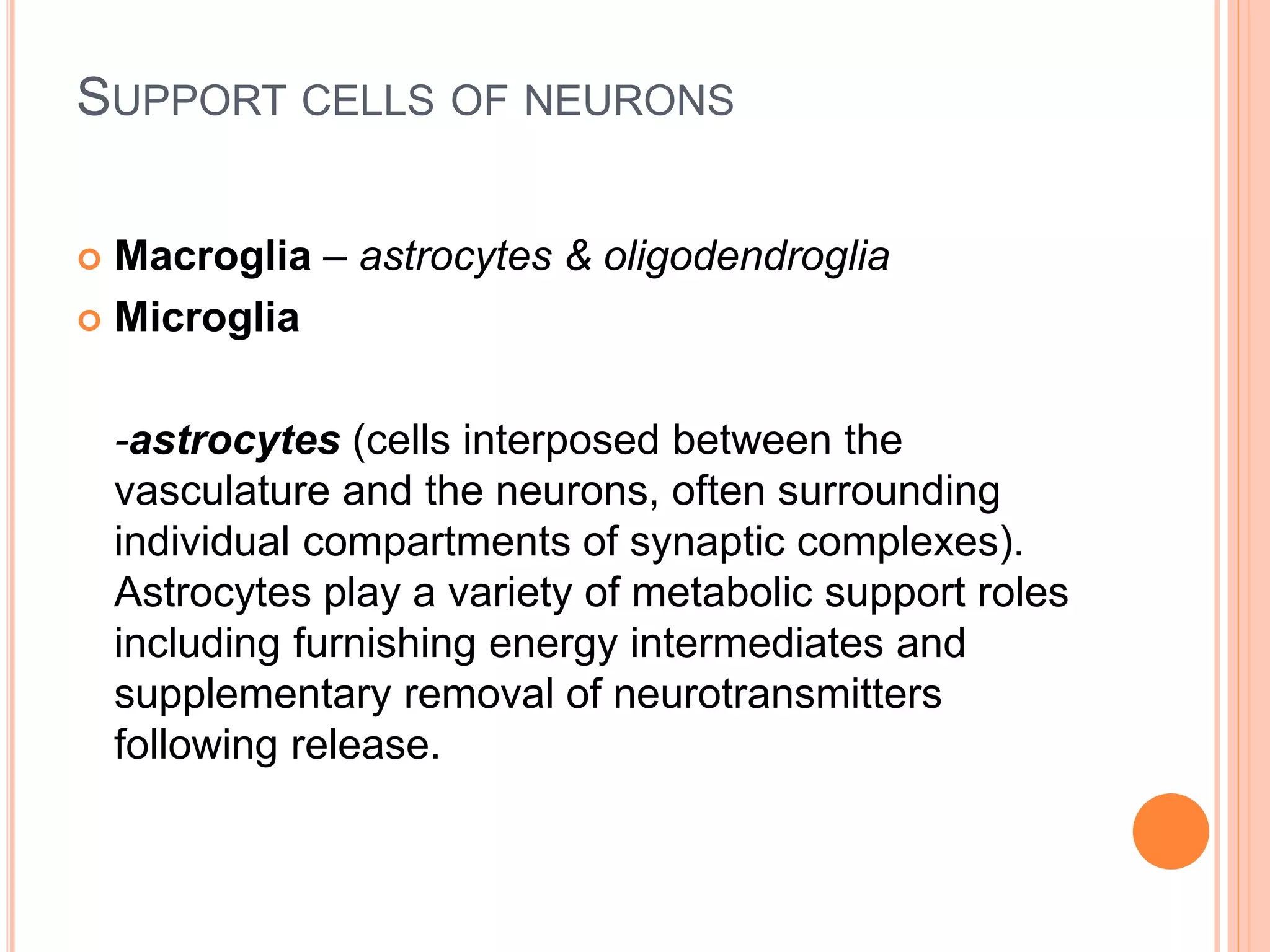 CNS_Introduction1 .ppt