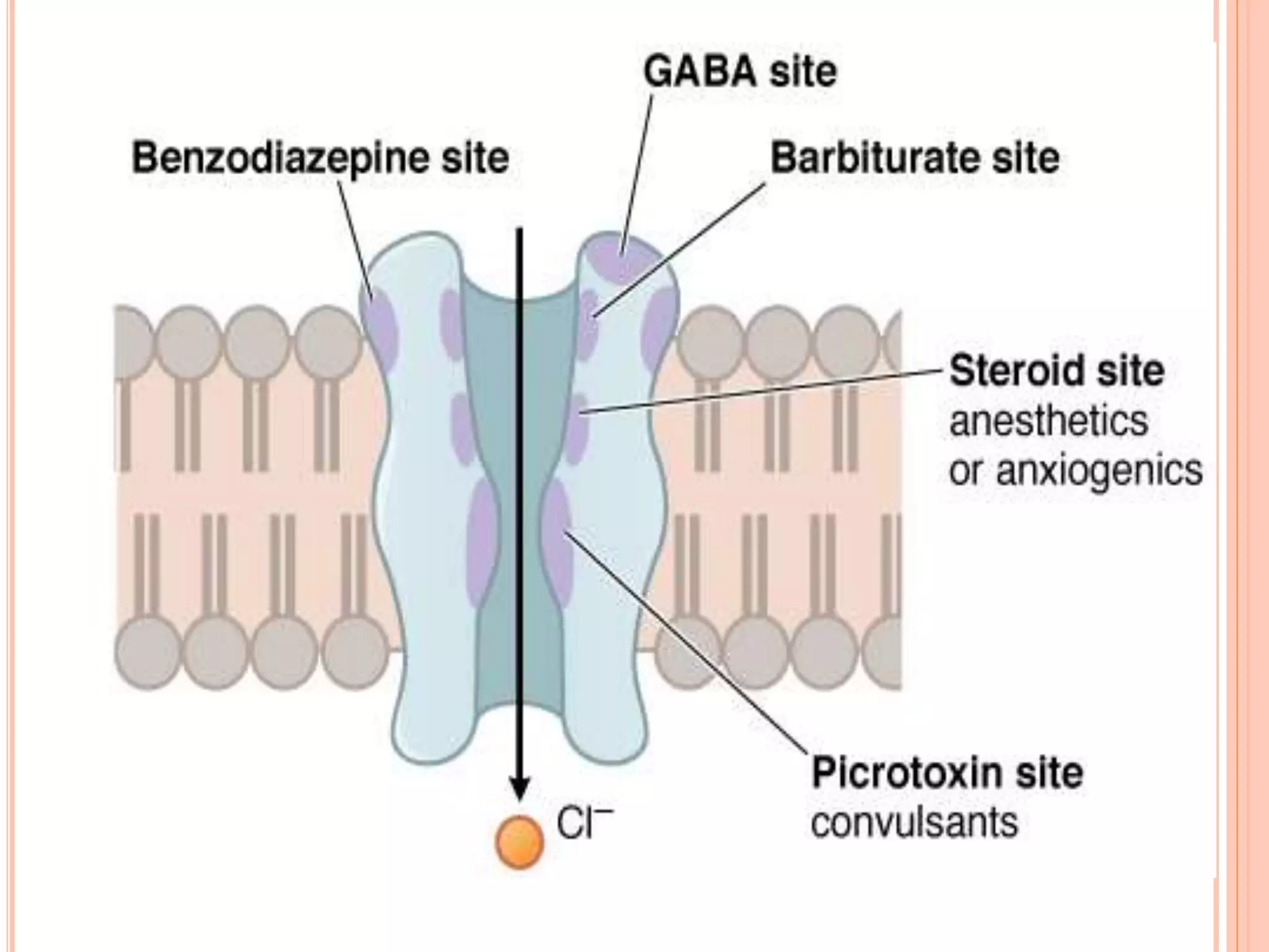 CNS_Introduction1 .ppt