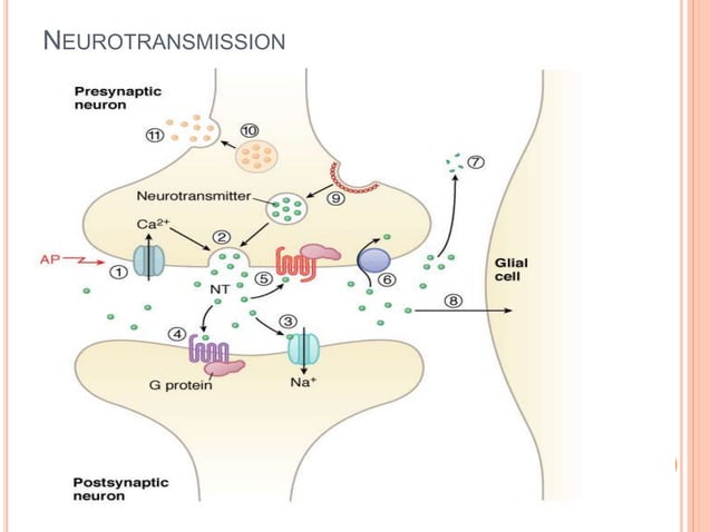 CNS_Introduction1 .ppt