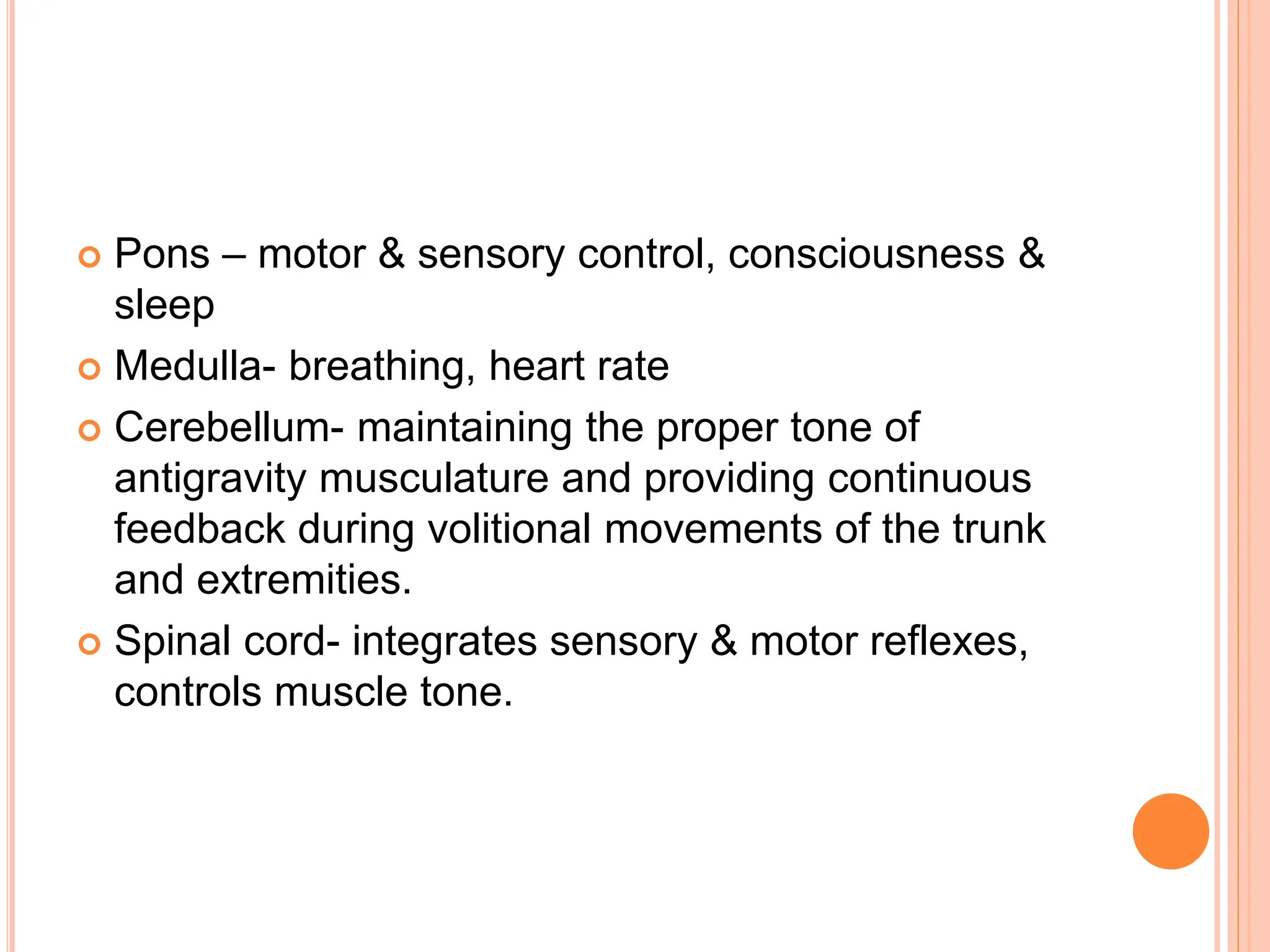 CNS_Introduction with detailed description .ppt