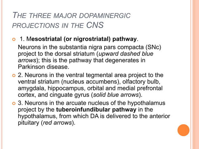 CNS_Introduction with detailed description .ppt