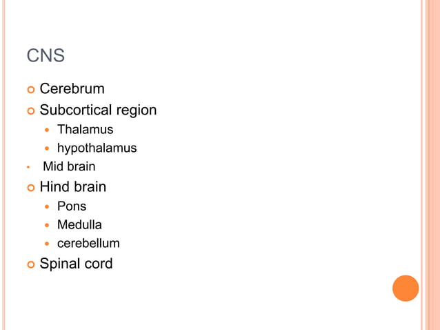 CNS_Introduction with detailed description .ppt