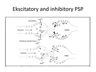 CNS introduction and antipsychotics.pptx