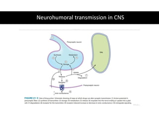 CNS introduction and antipsychotics.pptx