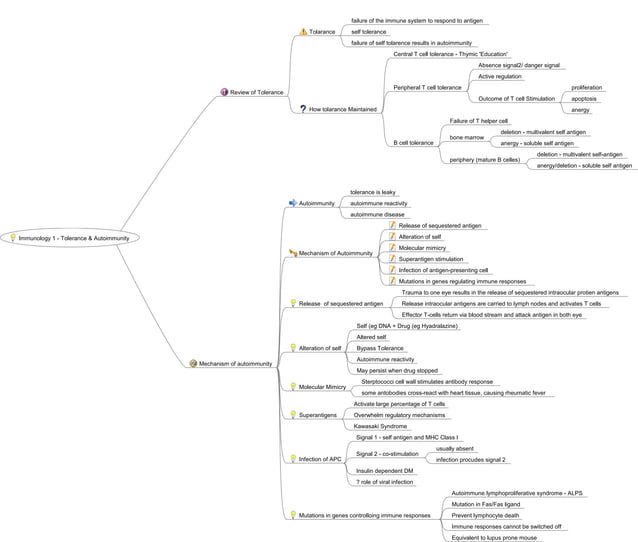 Cnslm immunology mind map