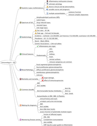 Cnslm immunology mind map