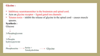 CNS NEUROTRANSMITTERS - Based on BPharm syllabus | PPTX